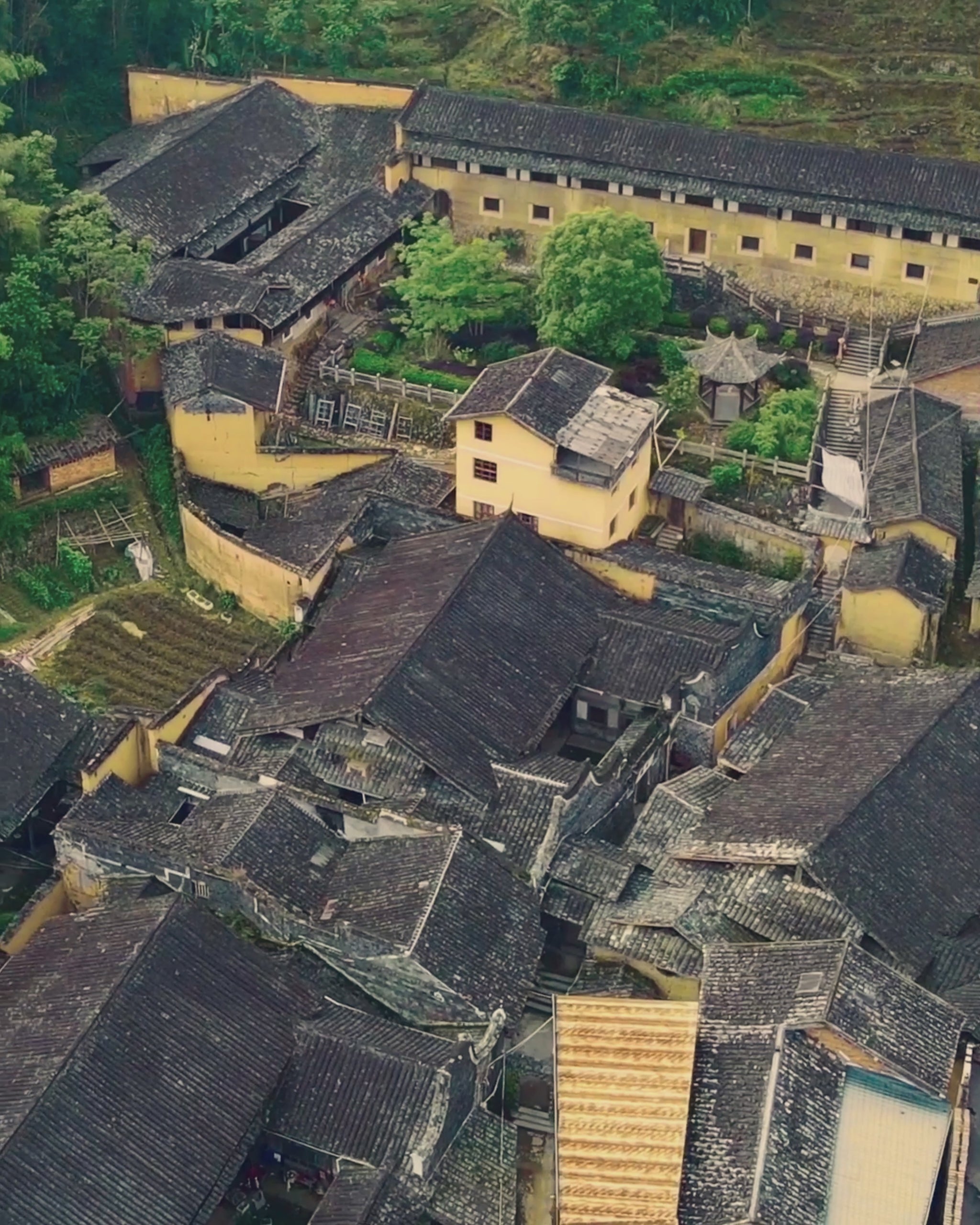 2015 Shi Liqiang AromaPrime Tea